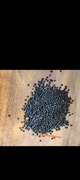 2021年油菜籽价格多少钱一斤_油菜籽一斤多少钱-第3张图片-山城妙识 2021年油菜籽价格多少钱一斤_油菜籽一斤多少钱-第3张图片-山城妙识