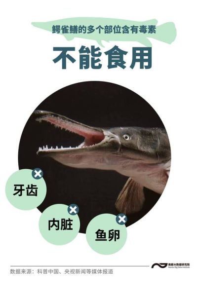 鳄雀鳝能吃吗_鳄雀鳝食用安全吗-第2张图片-山城妙识 鳄雀鳝能吃吗_鳄雀鳝食用安全吗-第2张图片-山城妙识