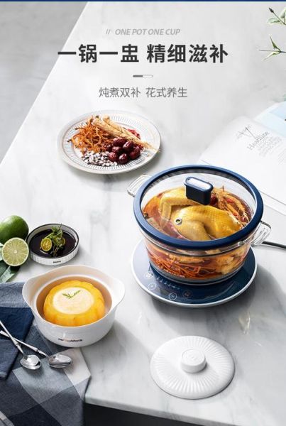 隔水炖盅有必要买吗_隔水炖盅优缺点-第2张图片-山城妙识