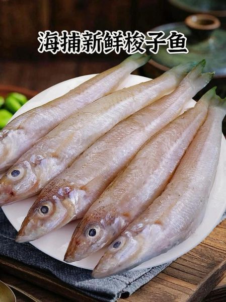 海梭子鱼长什么样_海梭子鱼有毒吗-第1张图片-山城妙识