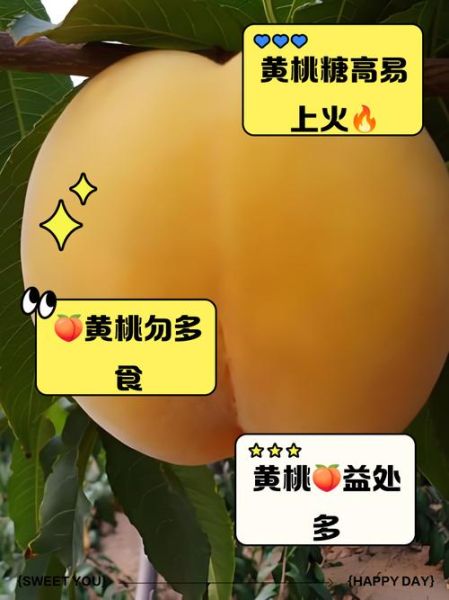 黄桃是热性还是凉性_黄桃吃多了会上火吗-第1张图片-山城妙识 黄桃是热性还是凉性_黄桃吃多了会上火吗-第1张图片-山城妙识