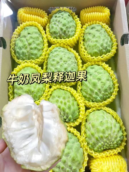 释迦凤梨怎么挑_释迦凤梨和凤梨释迦区别-第3张图片-山城妙识