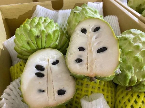 释迦凤梨怎么挑_释迦凤梨和凤梨释迦区别-第2张图片-山城妙识