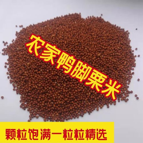 粟米粉是什么做的_粟米粉可以做什么美食-第3张图片-山城妙识 粟米粉是什么做的_粟米粉可以做什么美食-第3张图片-山城妙识