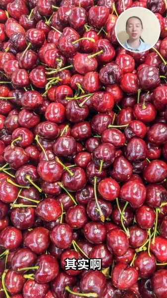 樱桃一天可以吃多少颗_吃多了会怎样-第3张图片-山城妙识 樱桃一天可以吃多少颗_吃多了会怎样-第3张图片-山城妙识