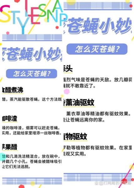 苍蝇怎么消灭_苍蝇怕什么气味-第2张图片-山城妙识 苍蝇怎么消灭_苍蝇怕什么气味-第2张图片-山城妙识