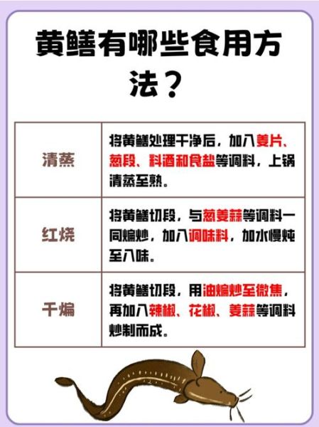 鳝鱼怎么杀_鳝鱼宰杀技巧-第2张图片-山城妙识 鳝鱼怎么杀_鳝鱼宰杀技巧-第2张图片-山城妙识