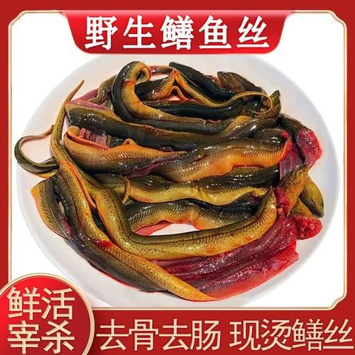 鳝鱼怎么杀_鳝鱼宰杀技巧-第1张图片-山城妙识 鳝鱼怎么杀_鳝鱼宰杀技巧-第1张图片-山城妙识