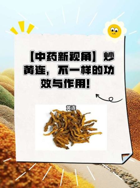 蜜饯黄连的功效与作用_蜜饯黄连怎么做-第3张图片-山城妙识 蜜饯黄连的功效与作用_蜜饯黄连怎么做-第3张图片-山城妙识