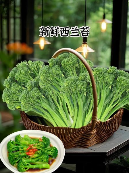 西兰花吃多了有什么坏处_西兰花过量摄入危害-第2张图片-山城妙识