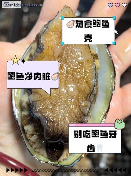 鲍鱼不能和什么一起吃_鲍鱼相克食物有哪些-第3张图片-山城妙识