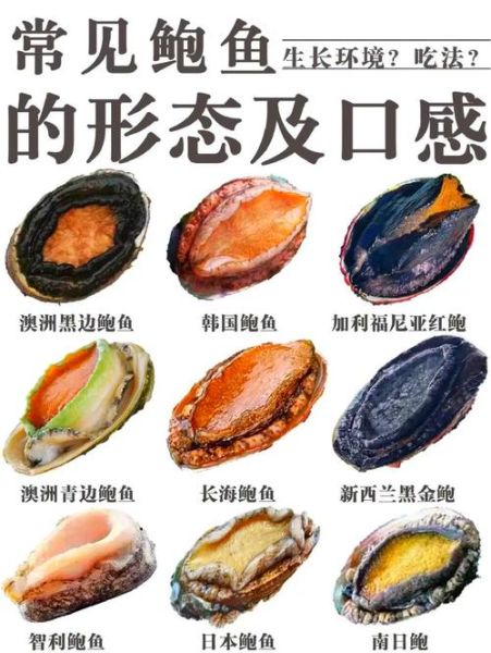 鲍鱼不能和什么一起吃_鲍鱼相克食物有哪些-第2张图片-山城妙识