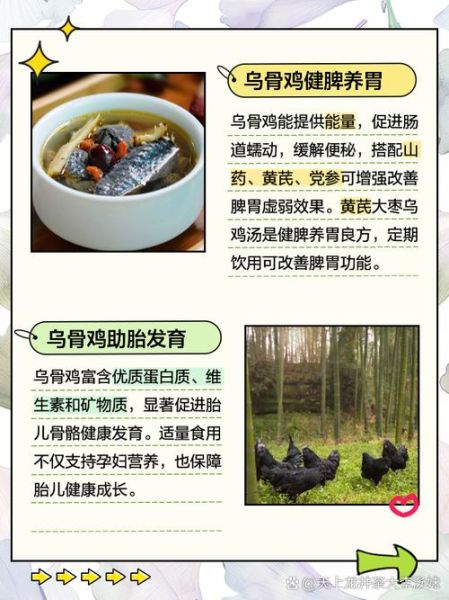 乌骨鸡的营养价值_乌骨鸡怎么吃最补-第1张图片-山城妙识