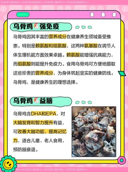 乌骨鸡的营养价值_乌骨鸡怎么吃最补-第2张图片-山城妙识