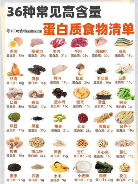 食物营养成分大全_哪些食物蛋白质高-第1张图片-山城妙识