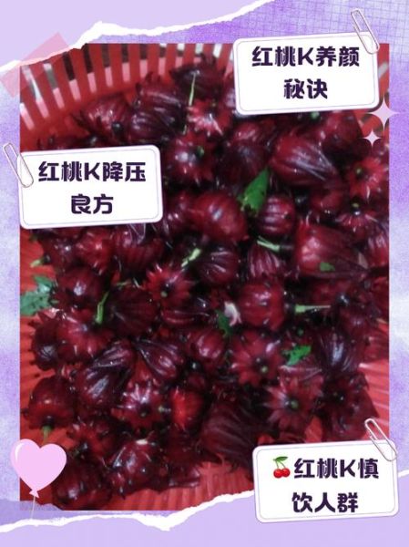 红桃k果的功效与作用_红桃k果能降血压吗-第2张图片-山城妙识