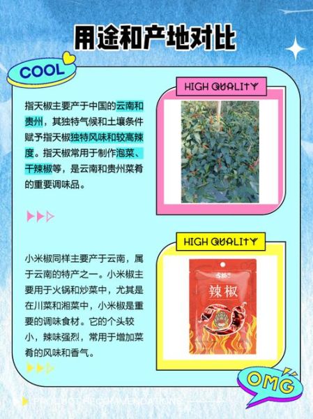 指天椒辣度有多高_指天椒和小米辣区别-第1张图片-山城妙识 指天椒辣度有多高_指天椒和小米辣区别-第1张图片-山城妙识