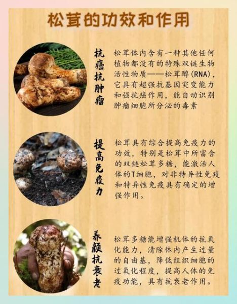 松茸哪些人不能吃_吃松茸的禁忌人群-第1张图片-山城妙识