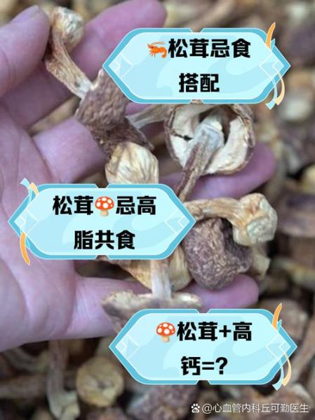 松茸哪些人不能吃_吃松茸的禁忌人群-第3张图片-山城妙识
