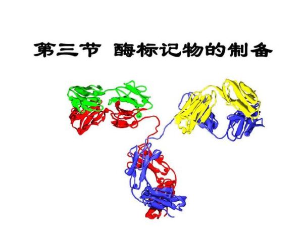 辣根过氧化物酶是什么_辣根过氧化物酶有哪些应用-第3张图片-山城妙识