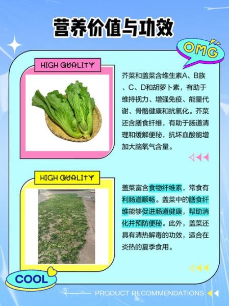 盖菜怎么做好吃_盖菜和芥菜的区别-第1张图片-山城妙识