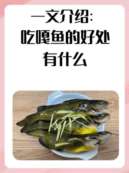 嘎鱼的功效与作用_嘎鱼适合什么人吃-第2张图片-山城妙识 嘎鱼的功效与作用_嘎鱼适合什么人吃-第2张图片-山城妙识