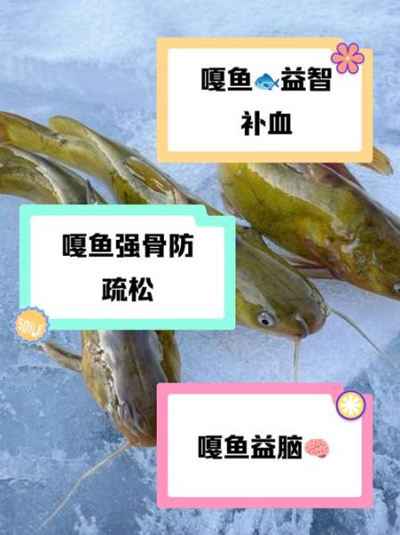 嘎鱼的功效与作用_嘎鱼适合什么人吃-第3张图片-山城妙识 嘎鱼的功效与作用_嘎鱼适合什么人吃-第3张图片-山城妙识