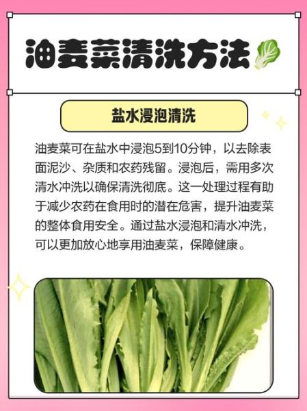 油麦菜用焯水吗_油麦菜要不要焯水-第3张图片-山城妙识 油麦菜用焯水吗_油麦菜要不要焯水-第3张图片-山城妙识