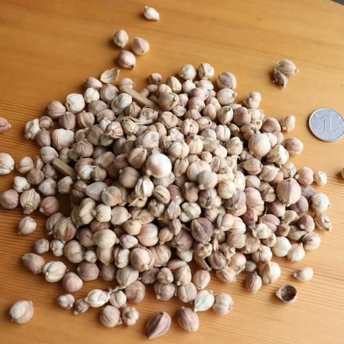 白豆蔻多少钱一斤_白豆蔻价格走势-第2张图片-山城妙识