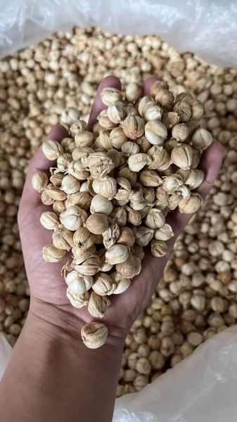 白豆蔻多少钱一斤_白豆蔻价格走势-第1张图片-山城妙识