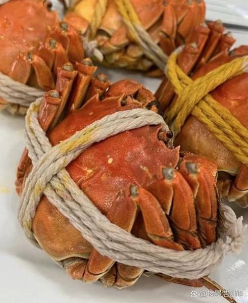 阳澄湖大闸蟹怎么挑_正宗产地哪里买-第2张图片-山城妙识