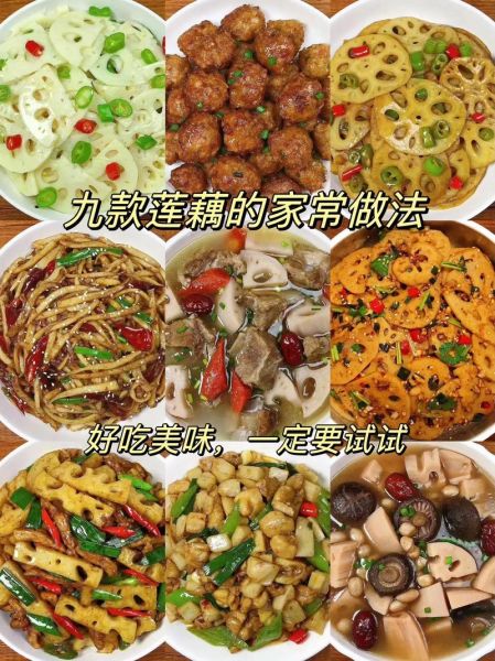 莲藕的功效与作用及食用方法_莲藕怎么吃最营养-第3张图片-山城妙识 莲藕的功效与作用及食用方法_莲藕怎么吃最营养-第3张图片-山城妙识