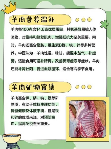 羊肉的功效与作用_羊肉的营养价值高吗-第2张图片-山城妙识