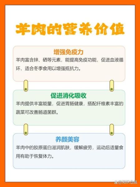 羊肉的功效与作用_羊肉的营养价值高吗-第3张图片-山城妙识