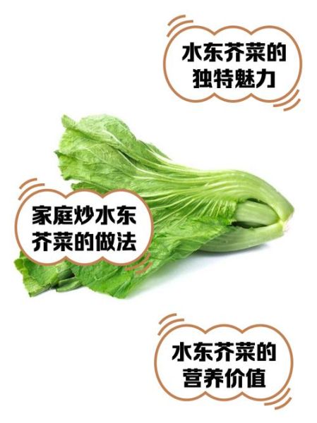 水东芥菜怎么炒好吃_水东芥菜的做法窍门-第2张图片-山城妙识 水东芥菜怎么炒好吃_水东芥菜的做法窍门-第2张图片-山城妙识