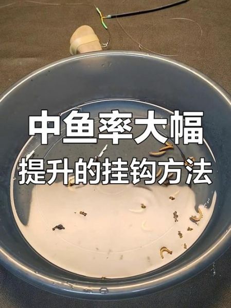 面包虫钓鱼效果怎么样_面包虫钓什么鱼最好-第1张图片-山城妙识