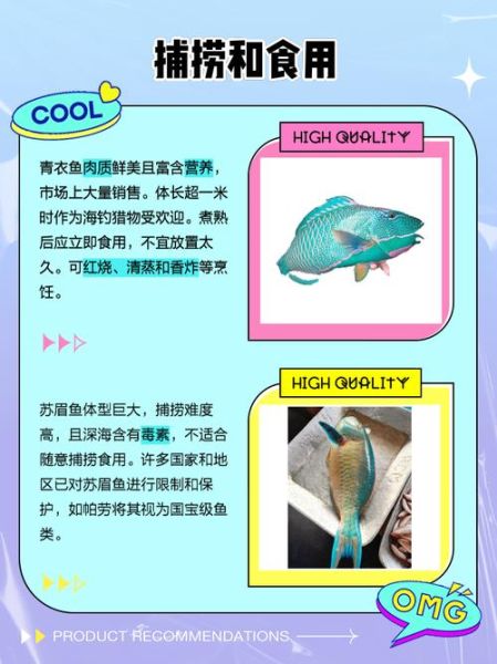 青衣鱼是什么鱼_青衣鱼图片怎么鉴别真假-第3张图片-山城妙识 青衣鱼是什么鱼_青衣鱼图片怎么鉴别真假-第3张图片-山城妙识