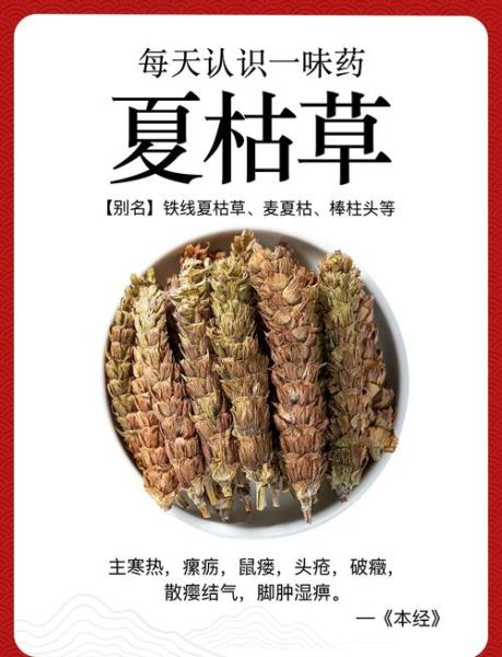 夏枯草膏的功效与作用_夏枯草膏能长期吃吗-第2张图片-山城妙识