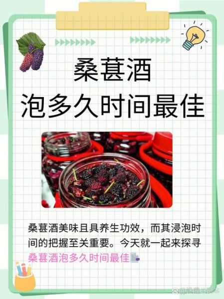 自制桑葚酒的正确方法_桑葚酒发酵多久能喝-第1张图片-山城妙识 自制桑葚酒的正确方法_桑葚酒发酵多久能喝-第1张图片-山城妙识