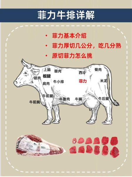 牛排用哪个部位的肉最好_菲力西冷还是肋眼-第2张图片-山城妙识