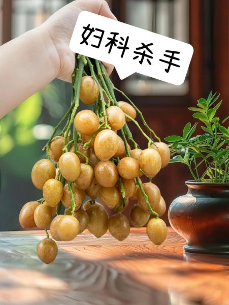 碱性水果有哪些_备孕男孩吃什么水果-第2张图片-山城妙识 碱性水果有哪些_备孕男孩吃什么水果-第2张图片-山城妙识