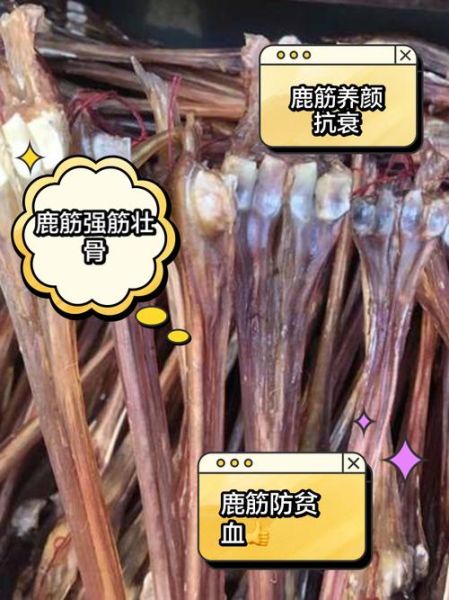 鹿筋的功效与作用_鹿筋适合什么人吃-第3张图片-山城妙识