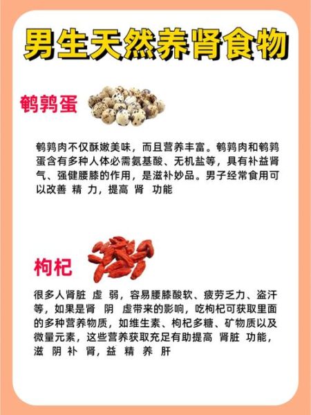 补肾壮阳食物排行_哪些食物最快见效-第3张图片-山城妙识