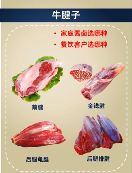 牛腱子肉是哪个部位图_前腱后腱怎么区分-第1张图片-山城妙识