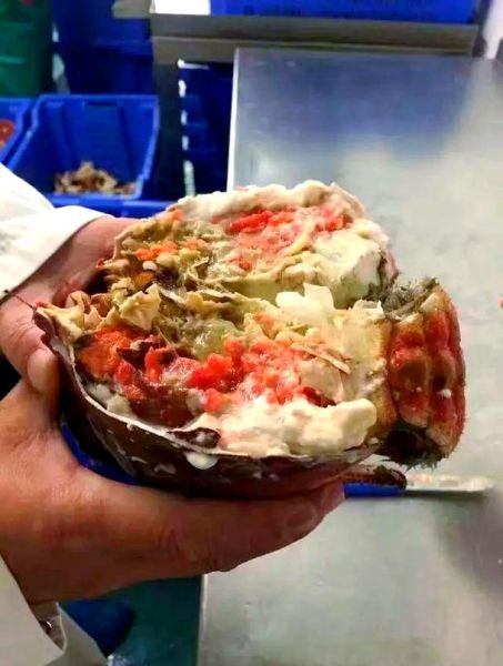 熟冻面包蟹怎么处理_解冻后怎么做好吃-第3张图片-山城妙识