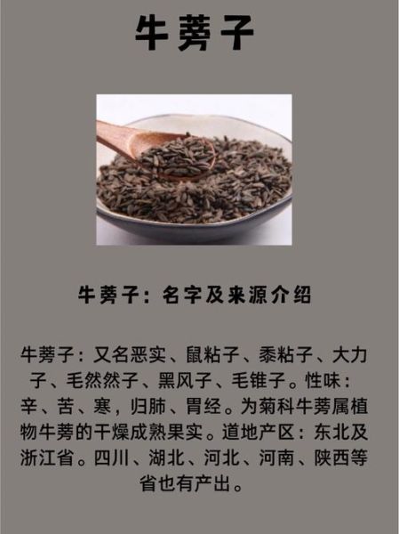 牛蒡子有什么功效与作用_牛蒡子怎么吃效果最好-第2张图片-山城妙识