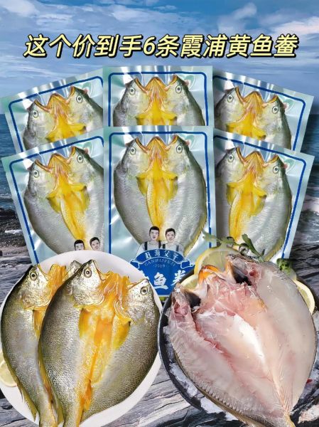 6斤大黄鱼多少钱一斤_大黄鱼价格行情-第1张图片-山城妙识