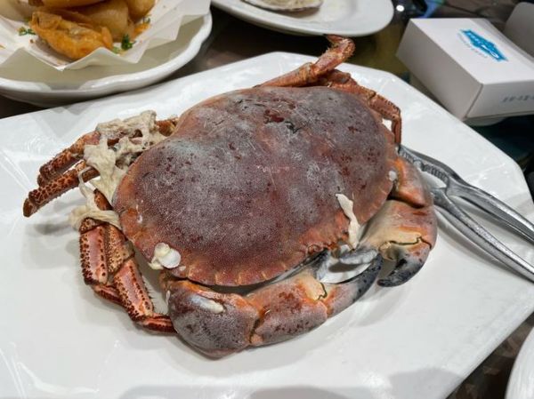 清蒸面包蟹蒸多长时间_蒸多久才熟-第1张图片-山城妙识 清蒸面包蟹蒸多长时间_蒸多久才熟-第1张图片-山城妙识