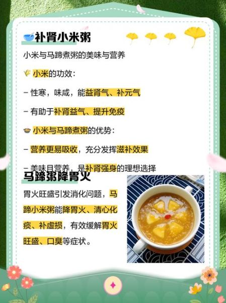 马蹄粥怎么做_马蹄粥的功效与禁忌-第2张图片-山城妙识 马蹄粥怎么做_马蹄粥的功效与禁忌-第2张图片-山城妙识