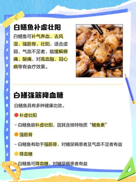 白鳝的营养价值_白鳝的功效与作用-第1张图片-山城妙识 白鳝的营养价值_白鳝的功效与作用-第1张图片-山城妙识